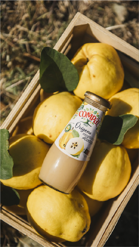 Compal Marmelo – Origens – Marmelo do Alentejo